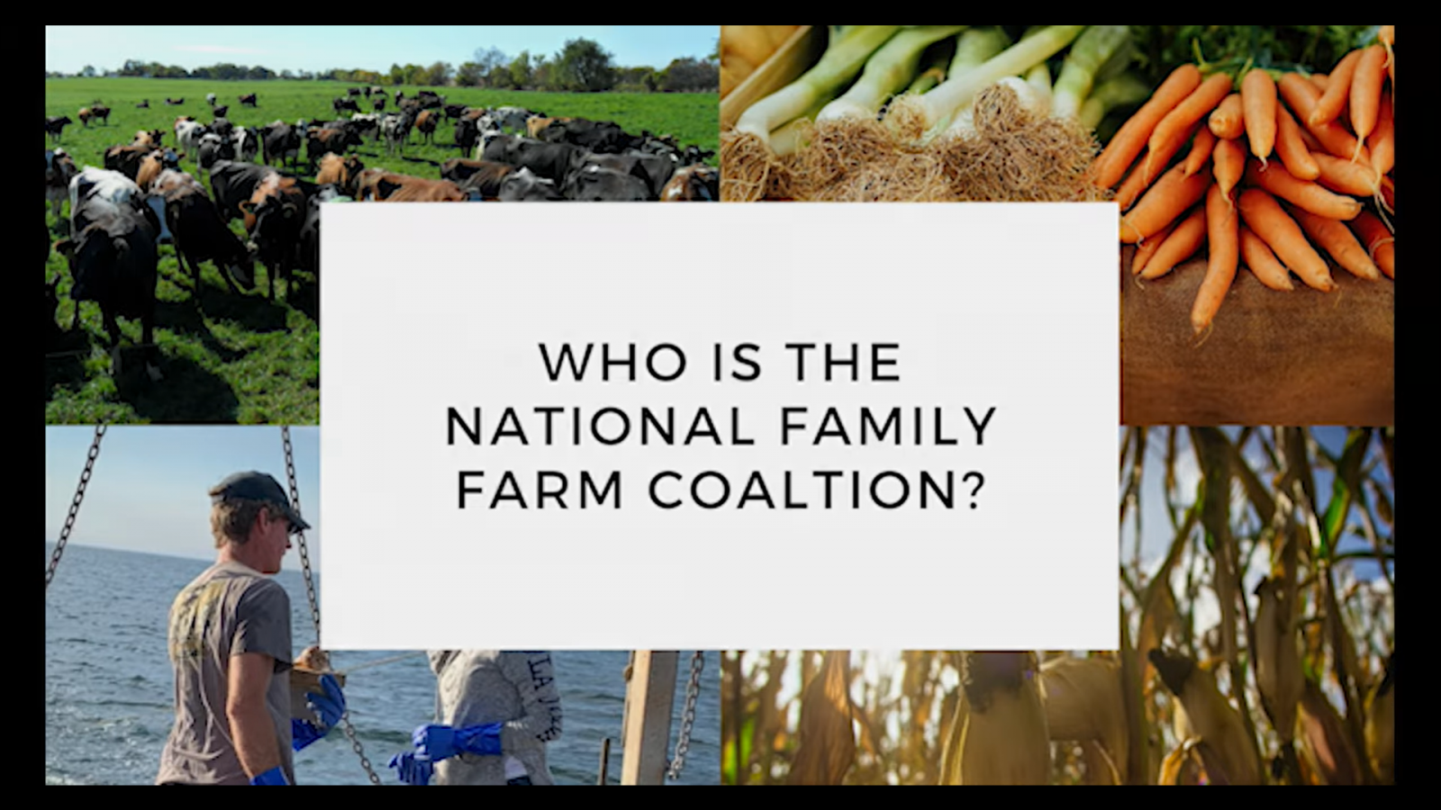 Youth Update Media at NFFC - National Family Farm Coalition