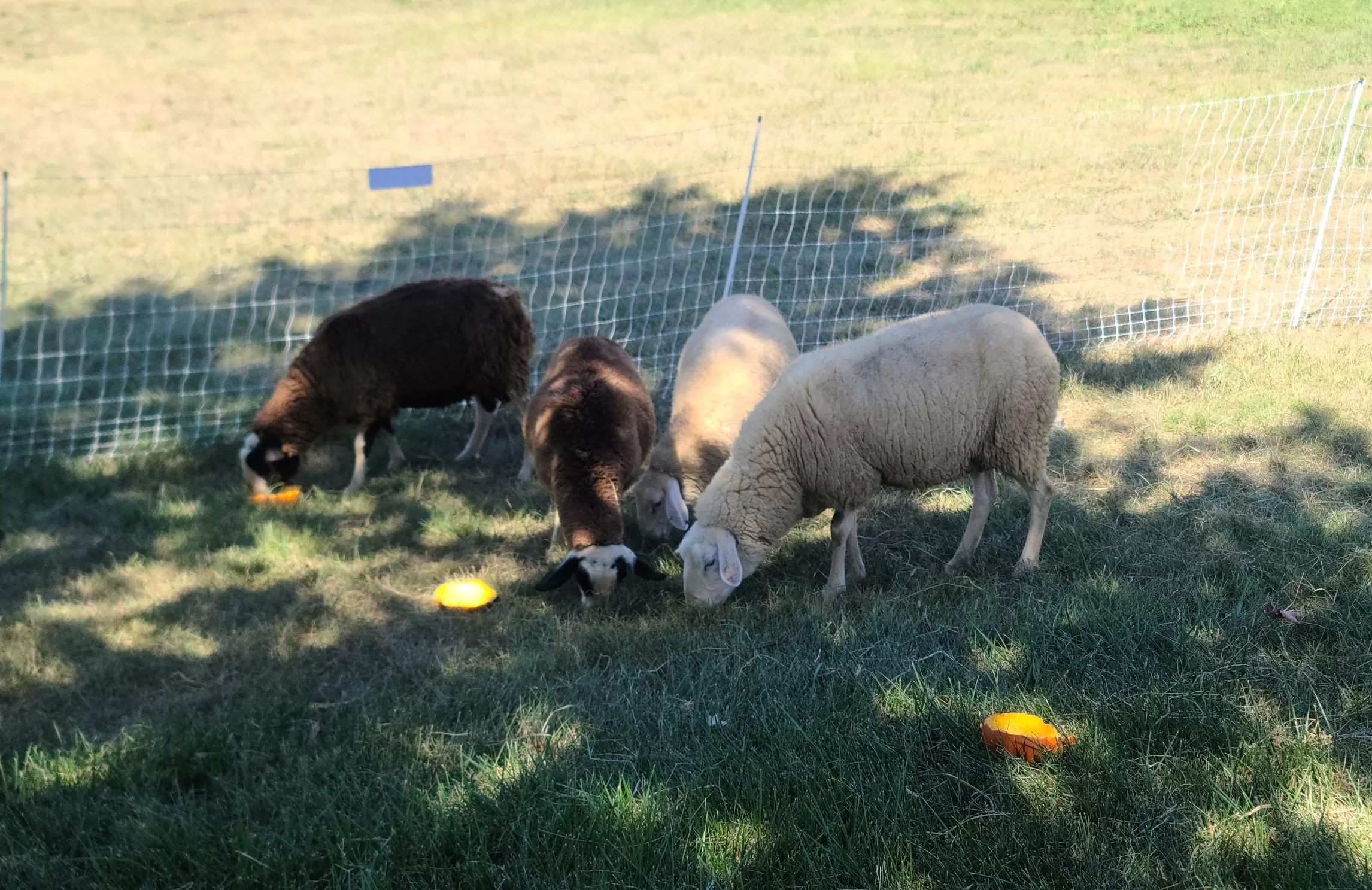 2023 Winter Newsletter - National Family Farm Coalition