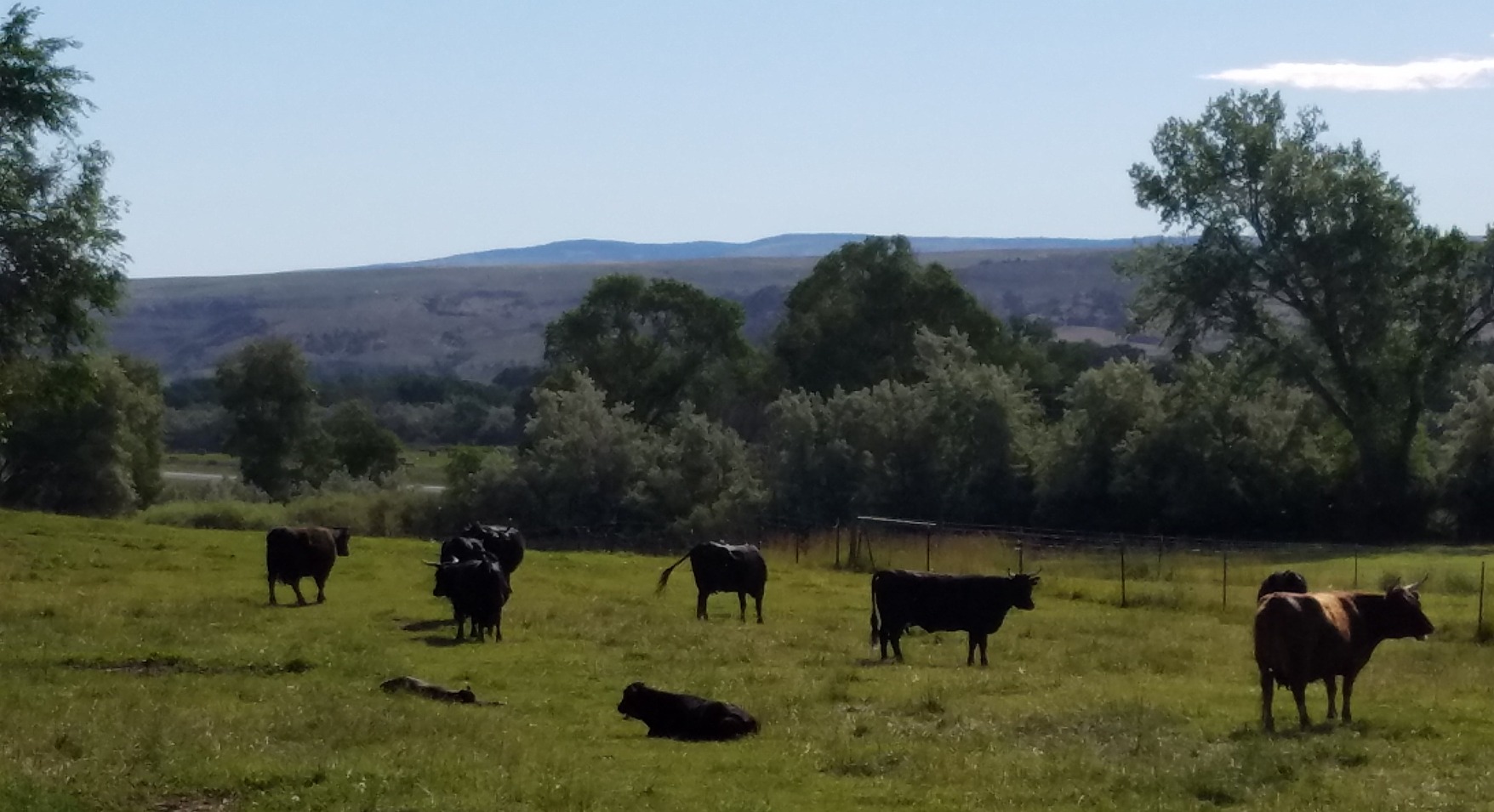 Op-ed by Jim Goodman, Anthony Pahnke, and Mark Perrone (UFCW): Food ...