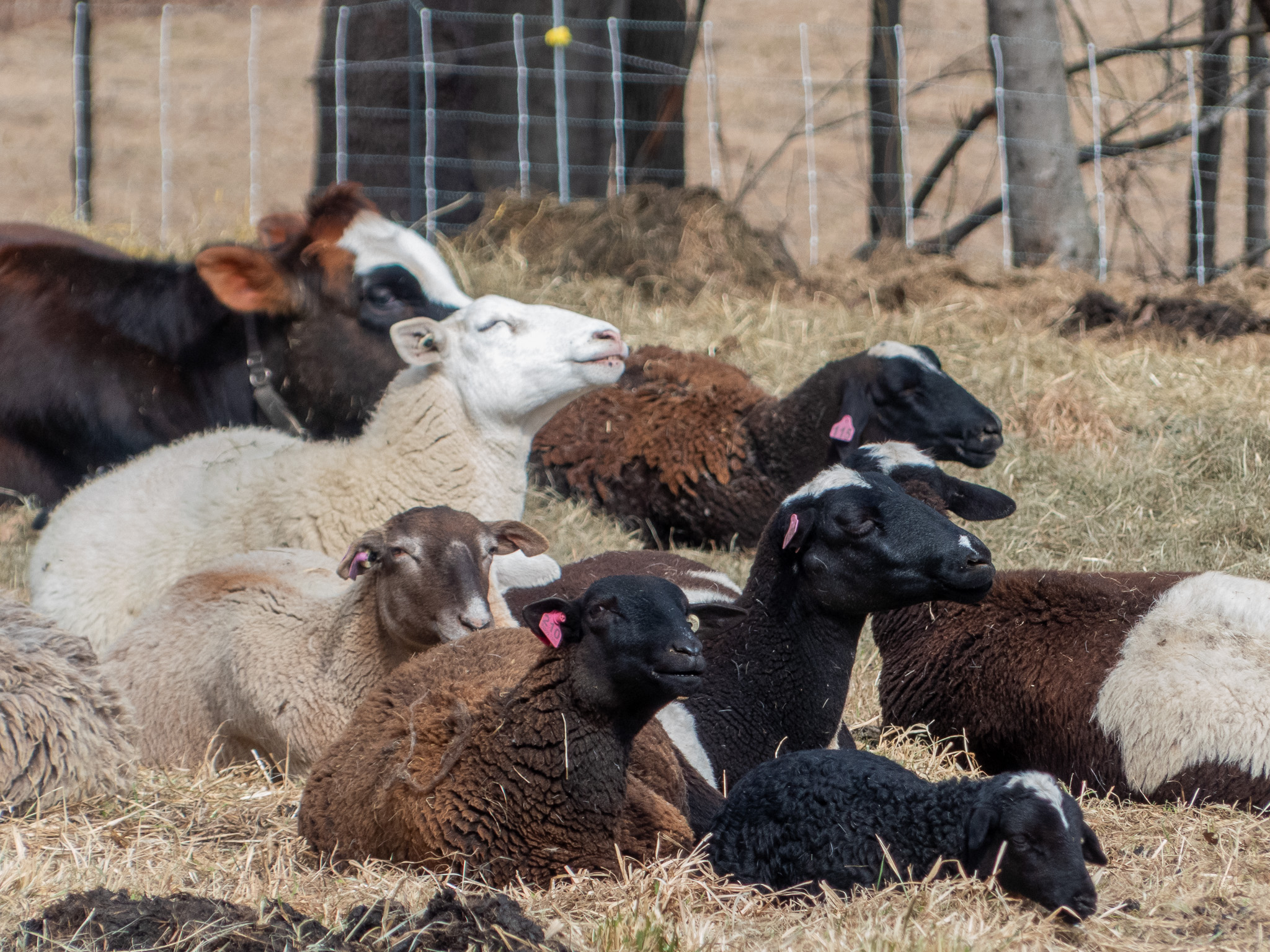 Bipartisan LOCAL Foods Act Introduced in House, Amplifying Direct Market Opportunities for Small ...