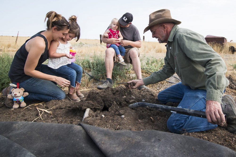 Local Food/New Farmer Initiative - National Family Farm Coalition